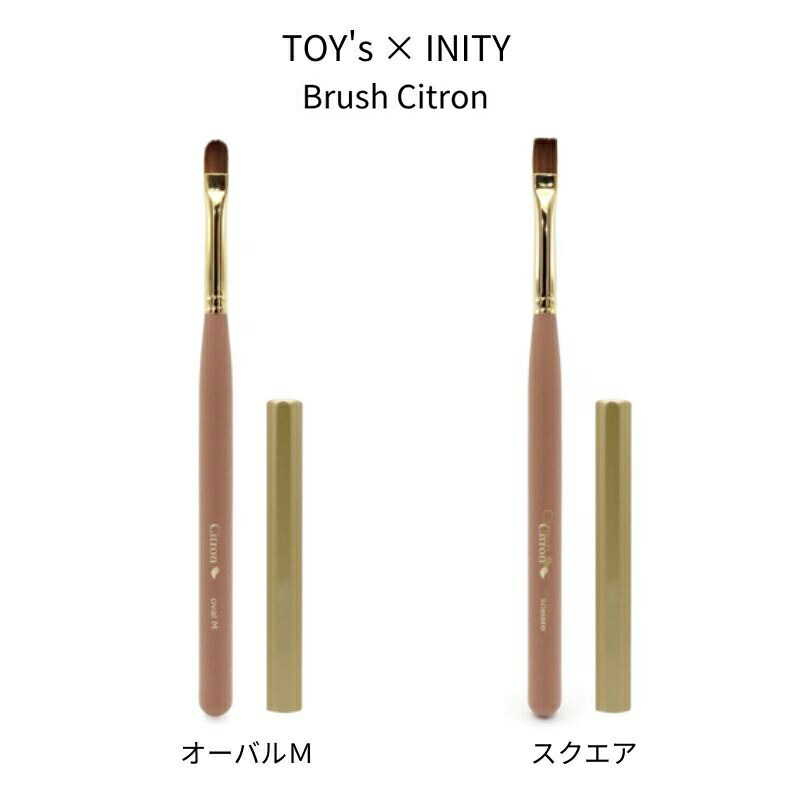 【楽天市場】【最大3％OFF】 TOY's × INITY Brush Citron 【2種からご選択】 オーバルM T-CBR-OM ...