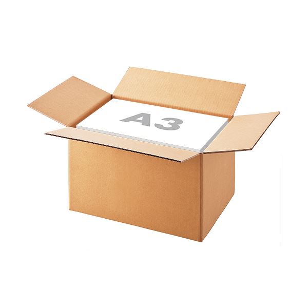 【楽天市場】（まとめ）TANOSEE 無地ダンボール箱 A3（L）サイズ 高さ295mm 1パック（10枚） 【×3セット】：ELMONO（家具 ラグ カーペット）
