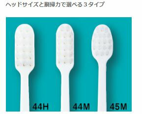 【楽天市場】DENT. systema AXシステマ AX 44M（コンパクト）/45M（超コンパクト）1本デントシステマエーエックスライオン：いいもん 楽天市場店