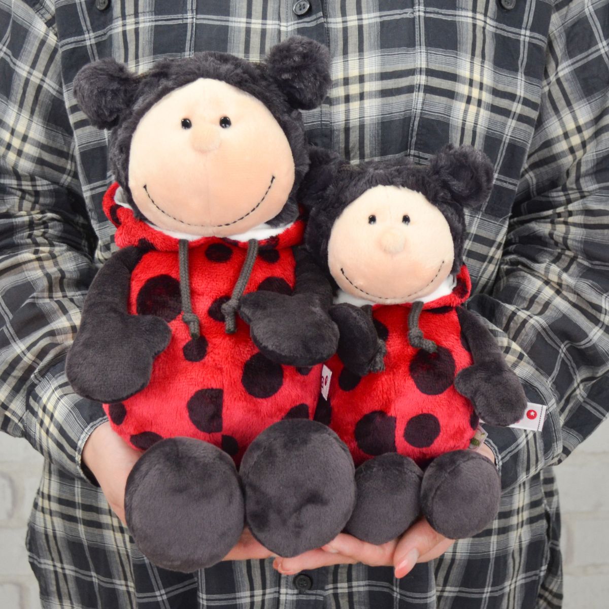 【楽天市場】【日本正規代理店】NICI(ニキ) Meadow Friends2025 テントウムシ ロッティ ぬいぐるみ(gr01m ...