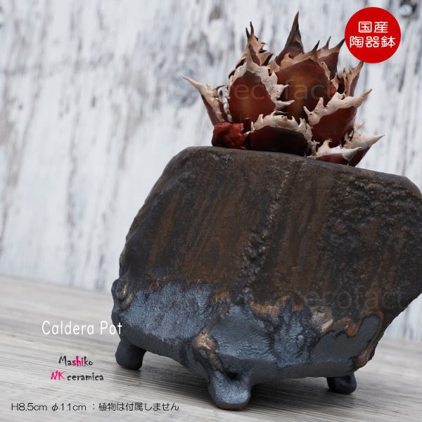 【楽天市場】陶器鉢 植木鉢 小鉢 底穴あり 益子焼 Caldera Pot φ11cm おしゃれ 園芸鉢 プランター アガベ コーデックス ...