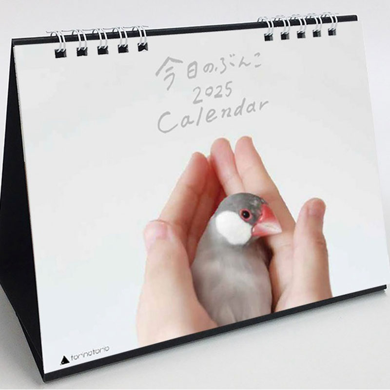 【楽天市場】今日のぶんこカレンダー 卓上タイプ（2025年版） ゆうパケット対応 令和7年 巳年 ことり 小鳥 雑貨 グッズ 1月始まり 日曜 ...