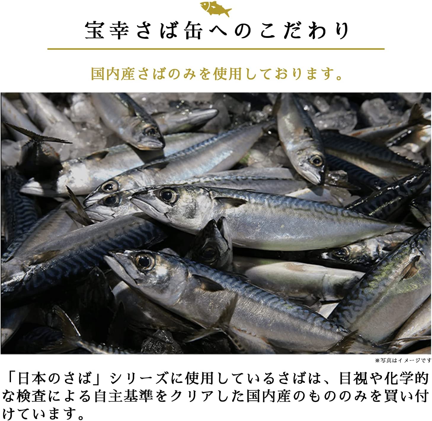 【楽天市場】【12個セット】 宝幸 水煮 食塩不使用 昆布だし 使用 日本のさば 190g HOKO さば缶 鯖缶 サバ缶 さば缶詰 サバ缶詰 鯖缶詰 さば サバ 鯖 魚 食品 缶詰 水産物 ...