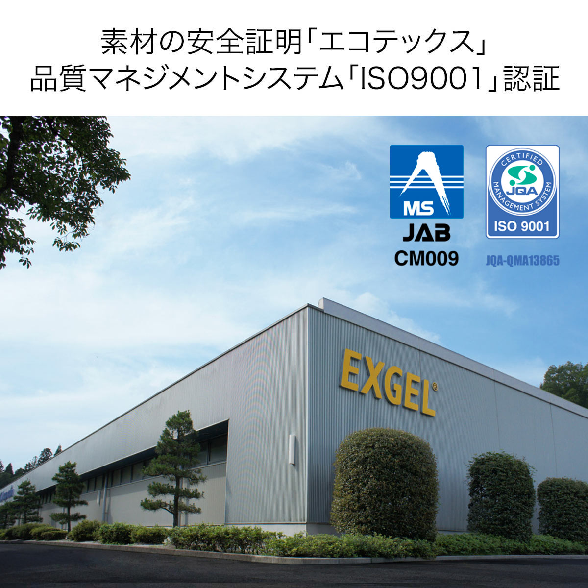 \情報番組で紹介！／ 最短納期 エクスジェル メーカー公式 EXGEL ミニプニ PUN10 グッドデザイン賞受賞 ギフト 携帯座布団 ジェル 日本製 クッション 携帯クッション ジェル ...
