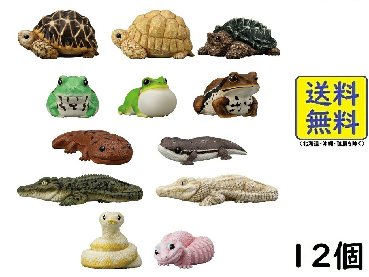 【楽天市場】バンダイ(BANDAI) てのりフレンズ12 12個 BOX 食玩 2025/10/20発売予定：exicoast Internet store 2号店