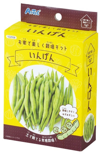 【楽天市場】お家で楽しく栽培キット いんげん【102938】 アーテック：F-Factory2号店