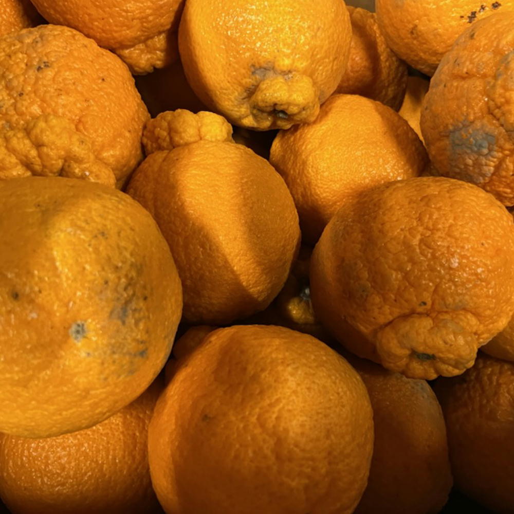 【楽天市場】佐賀 不知火 訳あり 箱込10キロ（9kg＋保証分500g）デコポンと同品種 佐賀産 からつ みかん ミカン 蜜柑 デコみかん でこみかん：フルーツ甘味屋GGY