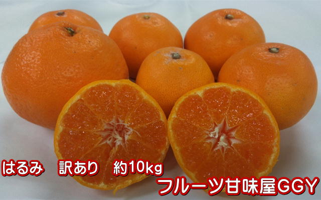 【楽天市場】はるみ 訳あり 熊本産 1箱 約10kg（9kg+保証分500g）【送料無料】一部の地域を除く：フルーツ甘味屋GGY