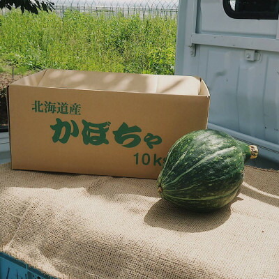 【楽天市場】【ふるさと納税】【令和4年9月中旬より発送予定】北海道富良野産かぼちゃ ロロン 約10kg(4～10玉入)【1333406 ...