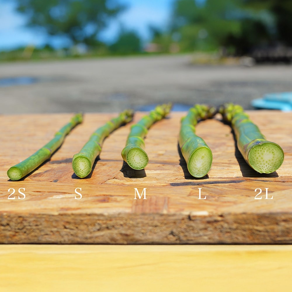 【ふるさと納税】幻のアスパラ 1kg 2kg【予約受付！】令和8年産 送料無料！美瑛町 本山農場のラスノーブル（グリーンアスパラ）2S〜2Lサイズ 訳あり 野菜 送料無料 北海道美瑛 北海道 ...