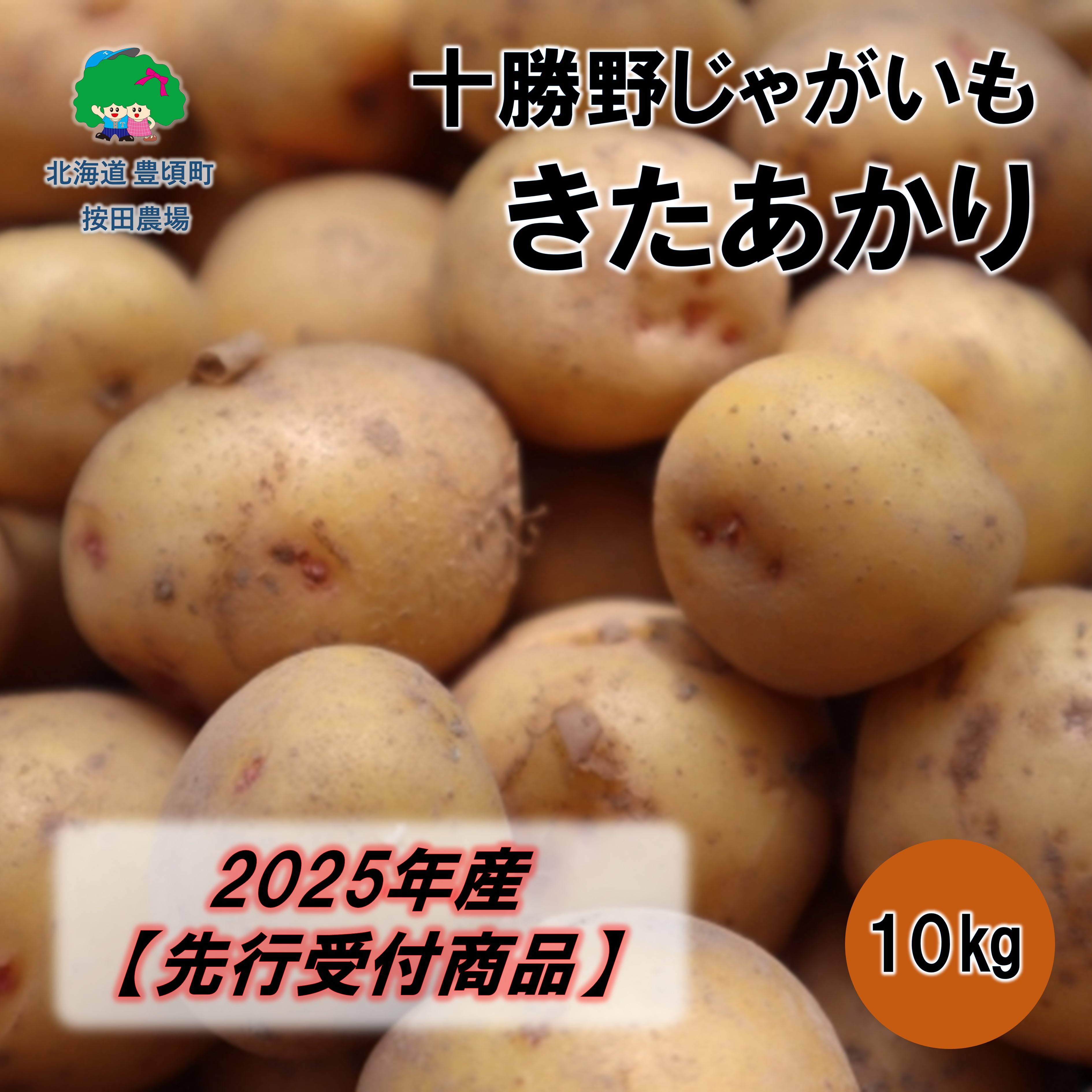 【楽天市場】【ふるさと納税】十勝野じゃがいも きたあかり10kg【2025年産】（先行受付）[按田農場]"北海道 十勝 豊頃町" 先行予約 ...