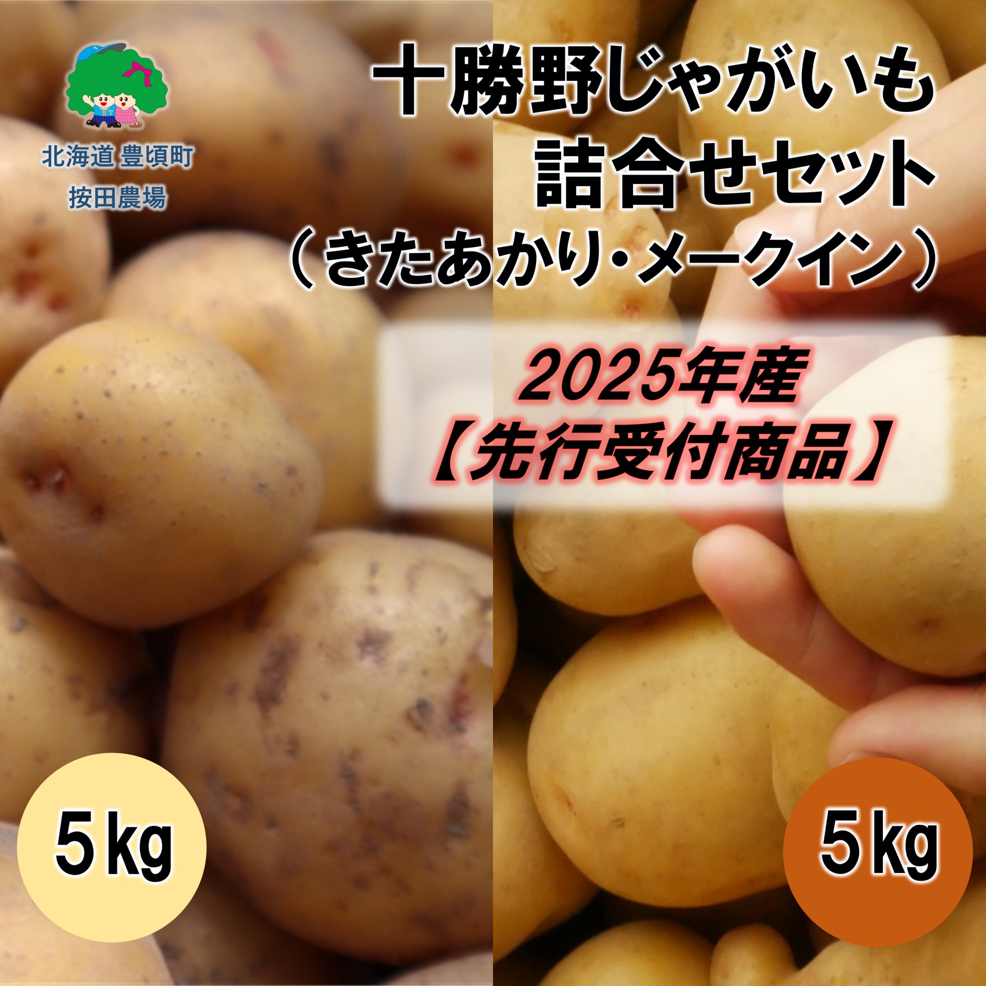 【楽天市場】【ふるさと納税】十勝野じゃがいも詰合せセット10kg（きたあかり・メークイン）【2025年産】（先行受付）[按田農場]"北海道 ...