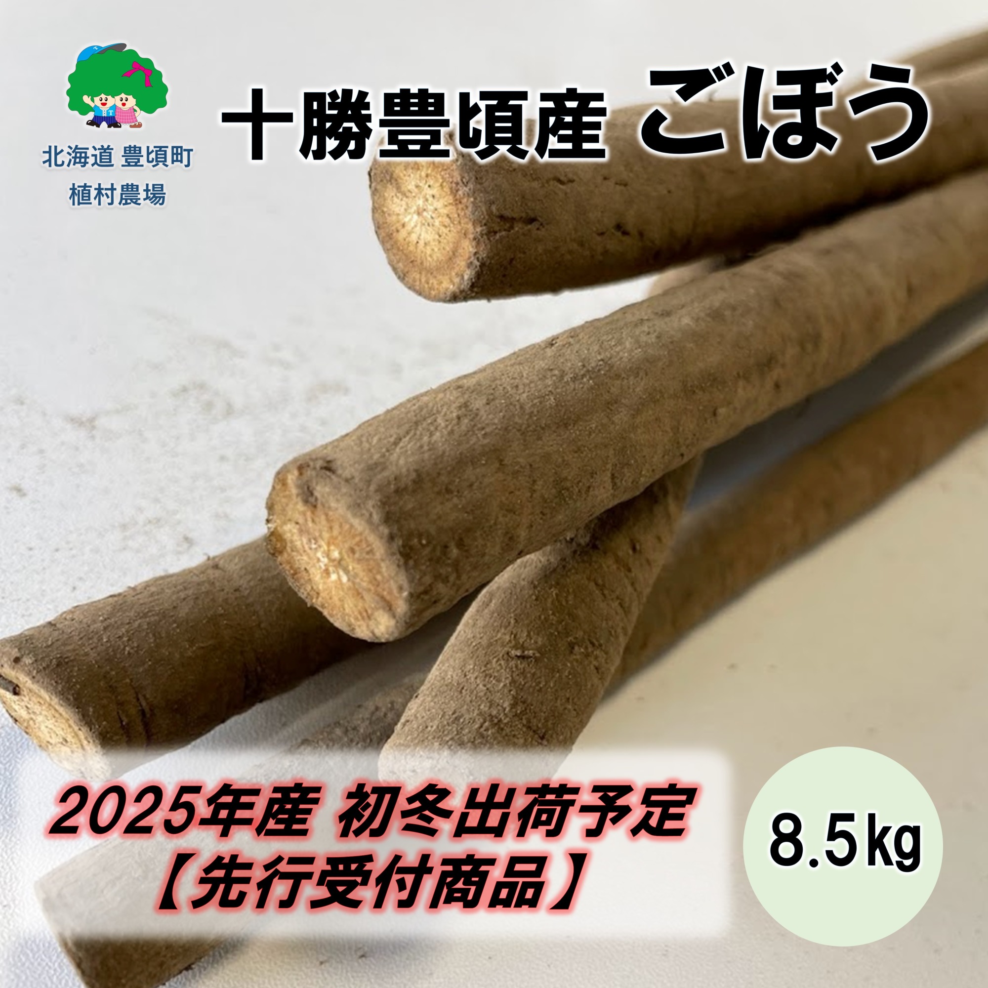 【楽天市場】【ふるさと納税】十勝豊頃産 ごぼう8.5kg【2025年初冬出荷（先行受付）】【植村農場】" 北海道 十勝 豊頃町 " 先行予約 ...