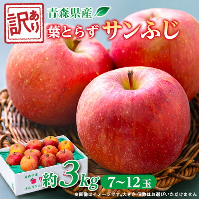 【楽天市場】【ふるさと納税】【訳ありりんご】葉とらずサンふじ約3kg(お試し用)【配送不可地域：離島・沖縄県】【1466365】：青森県青森市