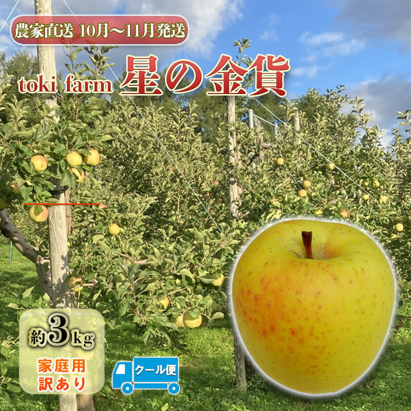 【楽天市場】【ふるさと納税】【10月～11月 クール便発送】toki farm 家庭用 星の金貨 約3kg 訳あり【弘前市産・青森りんご ...