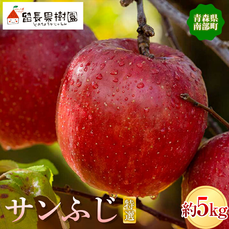【楽天市場】【ふるさと納税】 サンふじ 特選（大玉） 約5kg [14～16個入] 【留長果樹園】青森りんご りんご リンゴ 林檎 アップル ふじ フルーツ 果物 くだもの あおもり 青森 ...