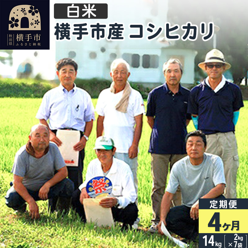 【楽天市場】【ふるさと納税】【白米】《定期便4ヶ月》令和5年産 横手産コシヒカリ 14kg(2kg×7袋)×4回 計56kg：秋田県横手市