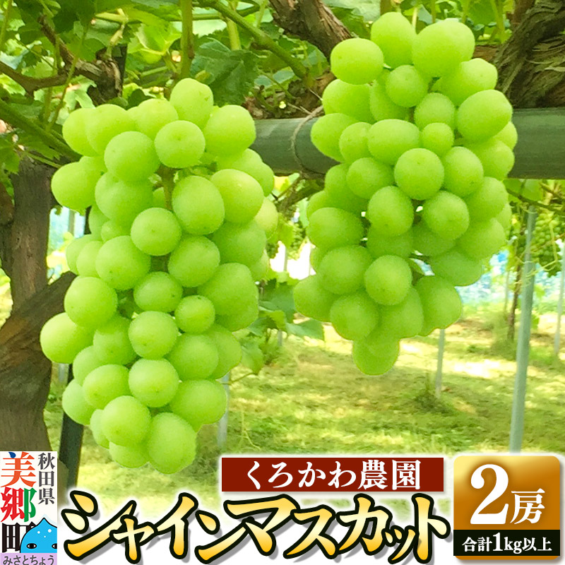 【楽天市場】【ふるさと納税】【期間限定】シャインマスカット 2房(合計1kg以上)：秋田県美郷町