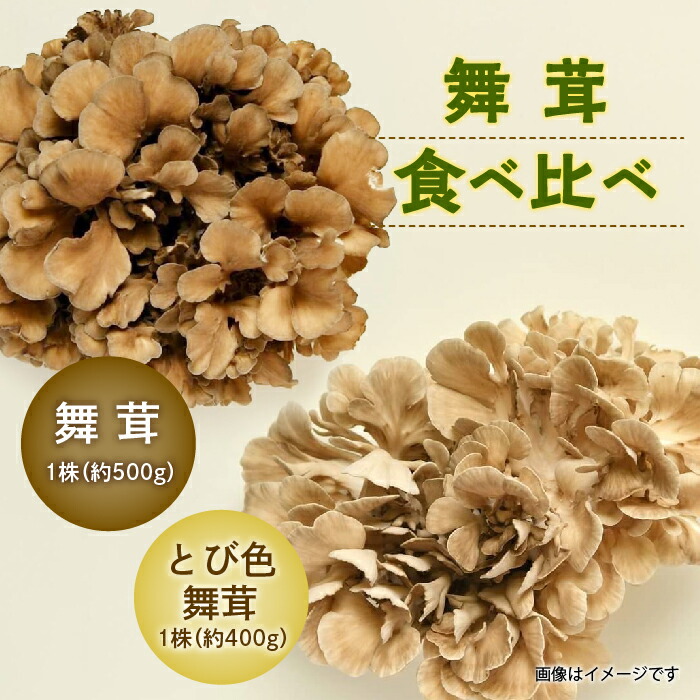 【楽天市場】【ふるさと納税】舞茸食べ比べセット F2Y-2374：山形県