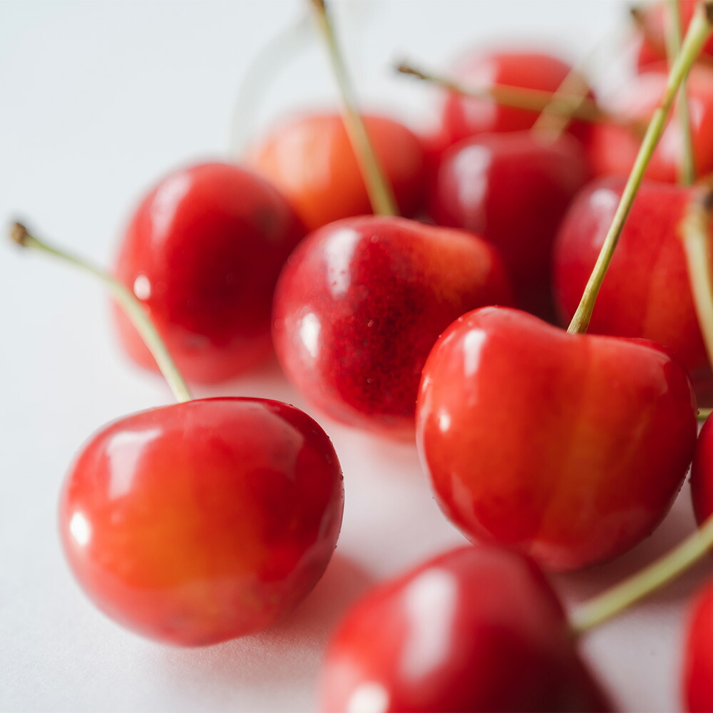 【楽天市場】【ふるさと納税】 さくらんぼ 紅秀峰 秀2Lサイズ 700g (350gx2パック) バラ詰め化粧箱 2022年産 山形県産 送料無料 サクランボ：山形県尾花沢市