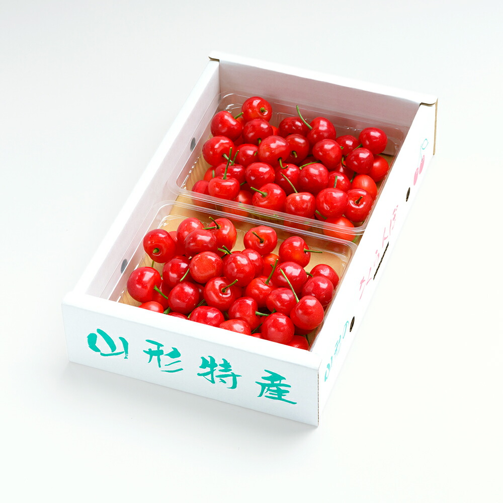 【楽天市場】【ふるさと納税】 さくらんぼ 紅秀峰 秀2Lサイズ 700g (350gx2パック) バラ詰め化粧箱 2022年産 山形県産 送料無料 サクランボ：山形県尾花沢市