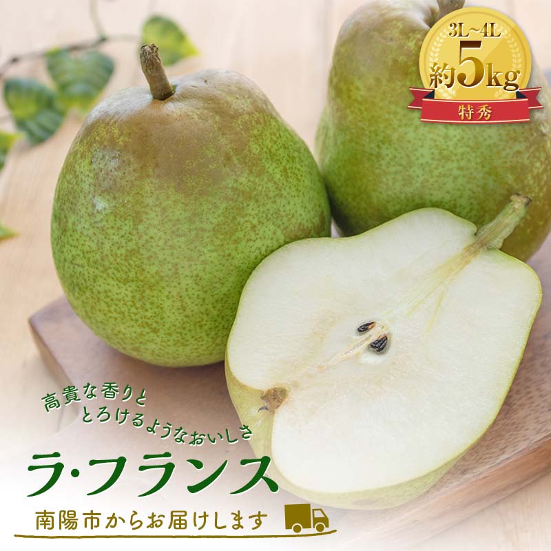 【楽天市場】【ふるさと納税】 〈家庭用〉ラ・フランス 約5kg (14～16玉 3L～4L) 《令和5年11月中旬～発送》 『田中農園』 ラフランス 西洋梨 洋なし 果物 フルーツ デザート ...