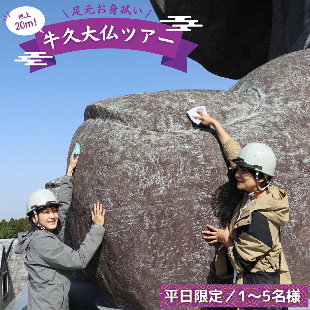 【楽天市場】【ふるさと納税】地上20m 牛久大仏 足元 お身拭い 体験 ツアー ※ 平日限定 ※ （ 5名様まで ） 貸切 参加券 体験チケット 観光 ふるさと納税限定：茨城県牛久市