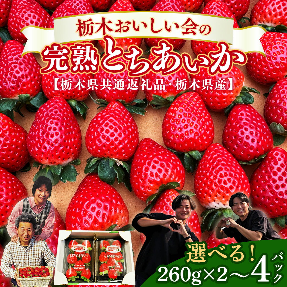 【楽天市場】【ふるさと納税】\選べる内容量／栃木おいしい会のいちご（とちあいか）260g×2パック（520g）・260g×4パック（1040g）｜栃木県共通返礼品 栃木県産 ※離島への配送不可 ...