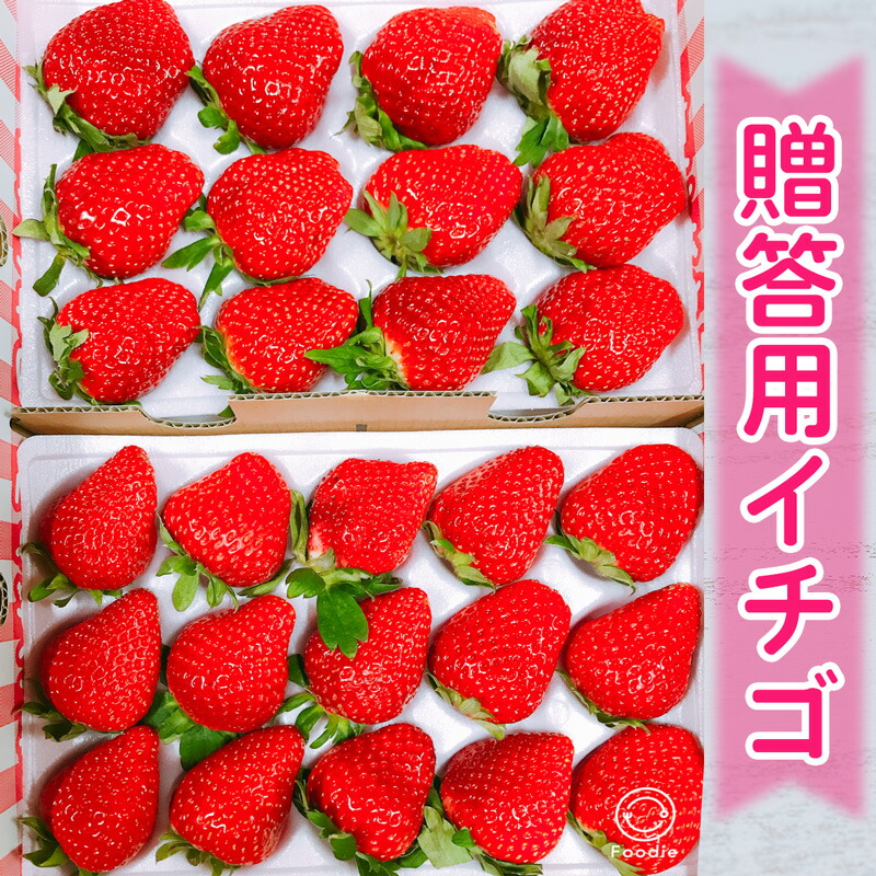 【楽天市場】【ふるさと納税】和田農園 イチゴDX｜いちご 苺 直送 デラックス 贈答 プレゼント 印西 千葉 [0487]：千葉県印西市