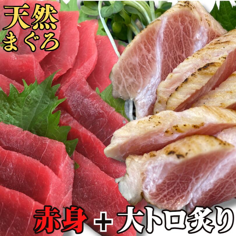 【楽天市場】【ふるさと納税】B15-049 目鉢まぐろ大トロ炙りと赤身柵セット：神奈川県三浦市