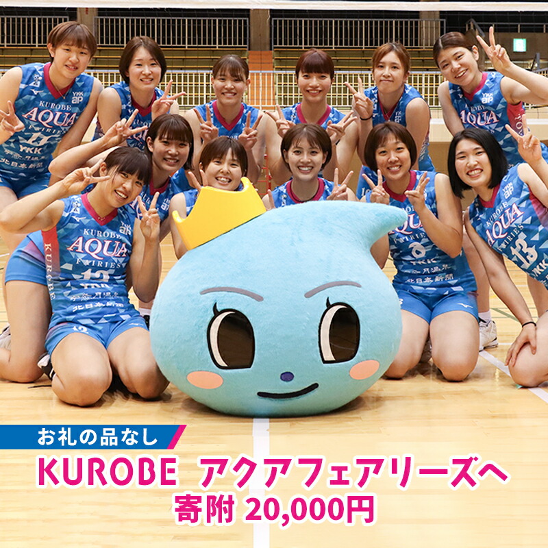 【楽天市場】【ふるさと納税】【お礼の品なし】KUROBEアクアフェアリーズへのお応援寄附20,000円 【チケット】：富山県黒部市
