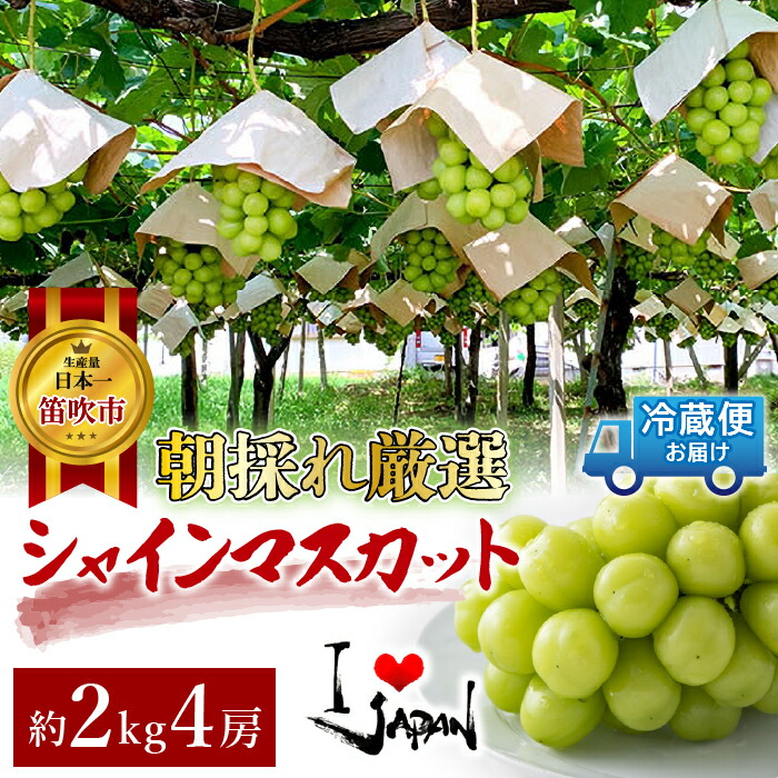 【楽天市場】【ふるさと納税】＜2024年先行予約＞厳選高級シャインマスカット2kg（4房） ふるさと納税 おすすめ ランキング シャイン ...