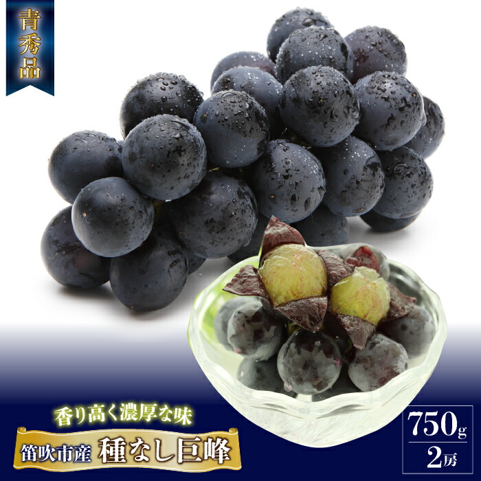 【楽天市場】【ふるさと納税】＜2024年発送＞いちのみや 『種なし巨峰』 山梨県産 2房 計約750g 化粧箱 ※冷蔵 ふるさと納税 おすすめ ランキング 巨峰 種無し ぶどう ブドウ 葡萄 ...