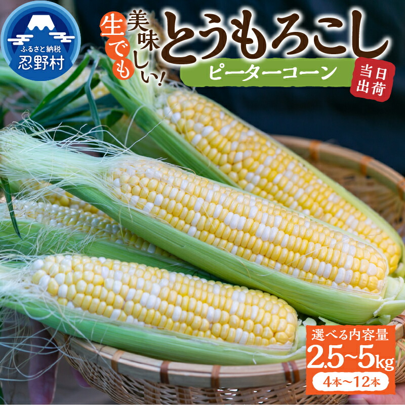 【楽天市場】【ふるさと納税】 とうもろこし ピーターコーン 2.5kg(4～6本入） 5kg(10～12本) 朝採れ 人気 とうきび 野菜 お取り寄せ スイートコーン 産地直送 農家直送 直送 ...