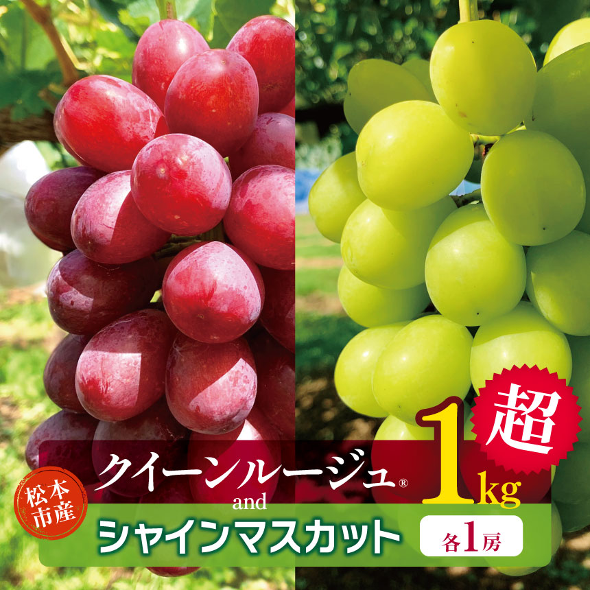【楽天市場】【ふるさと納税】2025年発送 先行予約 松本市産 贈答用 クイーンルージュ®、シャインマスカット 各1房（1kg超）｜贈答 プレゼント シャインマスカット しゃいんますかっと ...