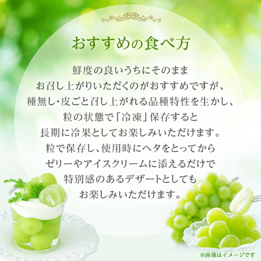 【ふるさと納税】【2026年発送】 _ 訳あり シャインマスカット 3房 / 4～5房 (1.3kg / 2.3kg)_ マスカット ぶどう ブドウ 葡萄 訳あり フルーツ 果物 くだもの ...