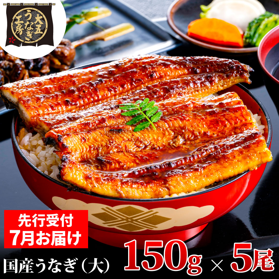 【楽天市場】【ふるさと納税】先行受付 【7月上旬配送】 うなぎ蒲焼 150g×5尾(750g) うなぎ 鰻 蒲焼 蒲焼き 大五通商 静岡 島田市 お届け：2025年7月1日～2025年7月10 ...