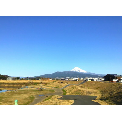 【楽天市場】【ふるさと納税】川の駅 伊豆ゲートウェイ函南 キャンプ利用券(5,000円分)【1221522】：静岡県函南町