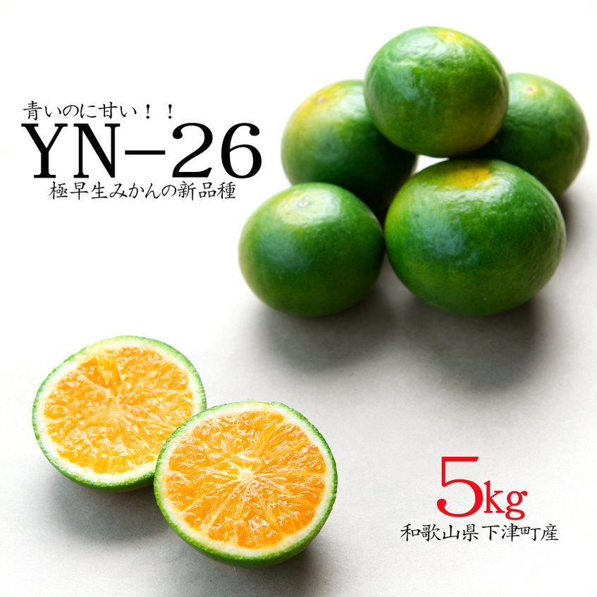 【楽天市場】【ふるさと納税】＜9月が旬の希少なみかん＞極早生みかん YN26 5kg（2S～Mサイズ混合）《赤秀》【北海道・沖縄県・一部離島 配送不可】 | 厳選 フルーツ 果物 くだもの ...