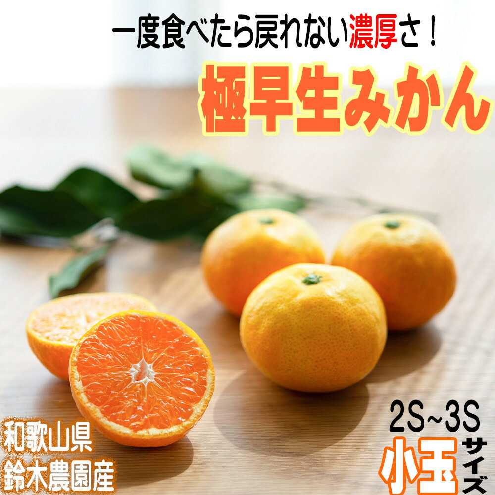 【楽天市場】【ふるさと納税】【極早生みかん】ゆら早生 又は YN26 約3キロ SS・3Sサイズ 和歌山県産 農園直送：和歌山県海南市