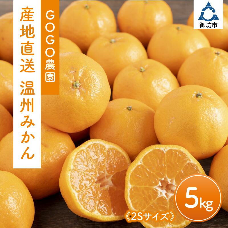 【楽天市場】【ふるさと納税】和歌山県 産地直送 温州みかん（5kg）2S（先行予約）：和歌山県御坊市