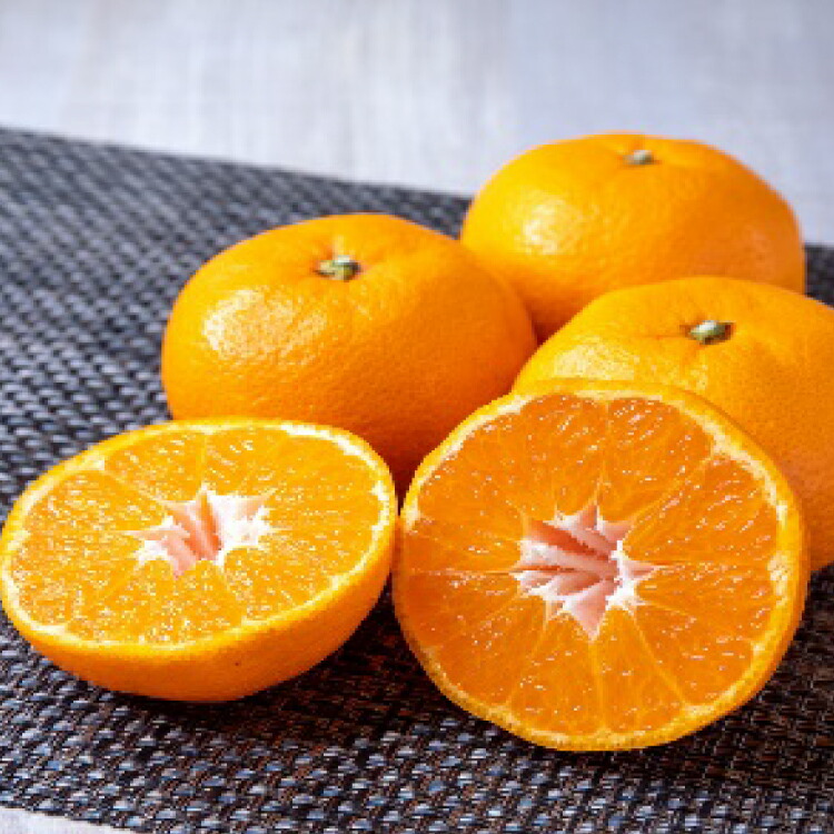 【楽天市場】【ふるさと納税】 有田みかん 約9kg（大玉：2L・3L・2L3L混合サイズ）【新宮グルメ市場】 ※2021年11月下旬～12月下旬ごろに発送（日付指定不可）：和歌山県新宮市