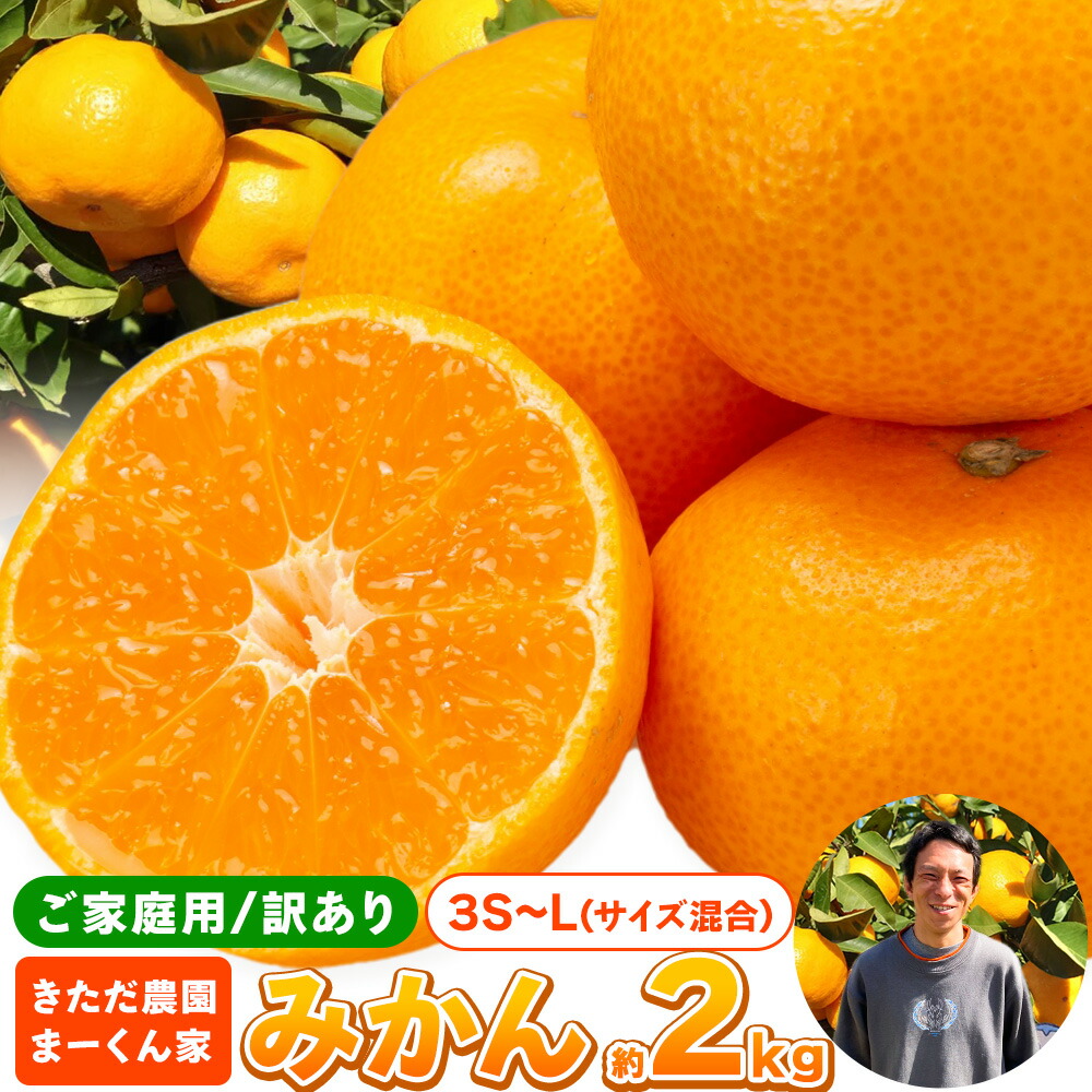 【楽天市場】【ふるさと納税】みかん 訳あり お試し 約 2kg 3S～L サイズ混合 きただ農園まーくん家《11月中旬-12月中旬頃出荷》和歌山県 紀の川市 送料無料 訳あり みかん ご家庭用 ...