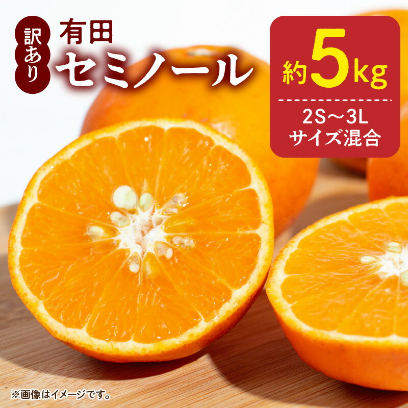 【楽天市場】【ふるさと納税】【限定】 【先行予約】訳あり セミノール 和歌山 有田 2S～3Lサイズ混合 5kg：和歌山県湯浅町