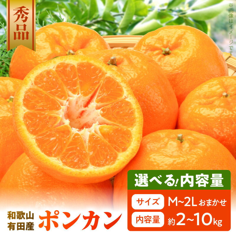 【楽天市場】【ふるさと納税】和歌山 有田産 ポンカン 秀品 選べる 内容量 2kg ～ 10kg M L 2L サイズ いずれか 和歌山県 有田地方 温暖 柑橘類 栽培 適した地域 根強い ...