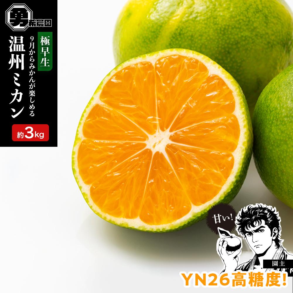 【楽天市場】【ふるさと納税】先行予約 極早生温州ミカン YN26 約 3kg サイズ混合 和歌山県 有田みかん 2024年9月下旬頃発送 | みかん 蜜柑 フルーツ 果物 くだもの 食品 人気 ...