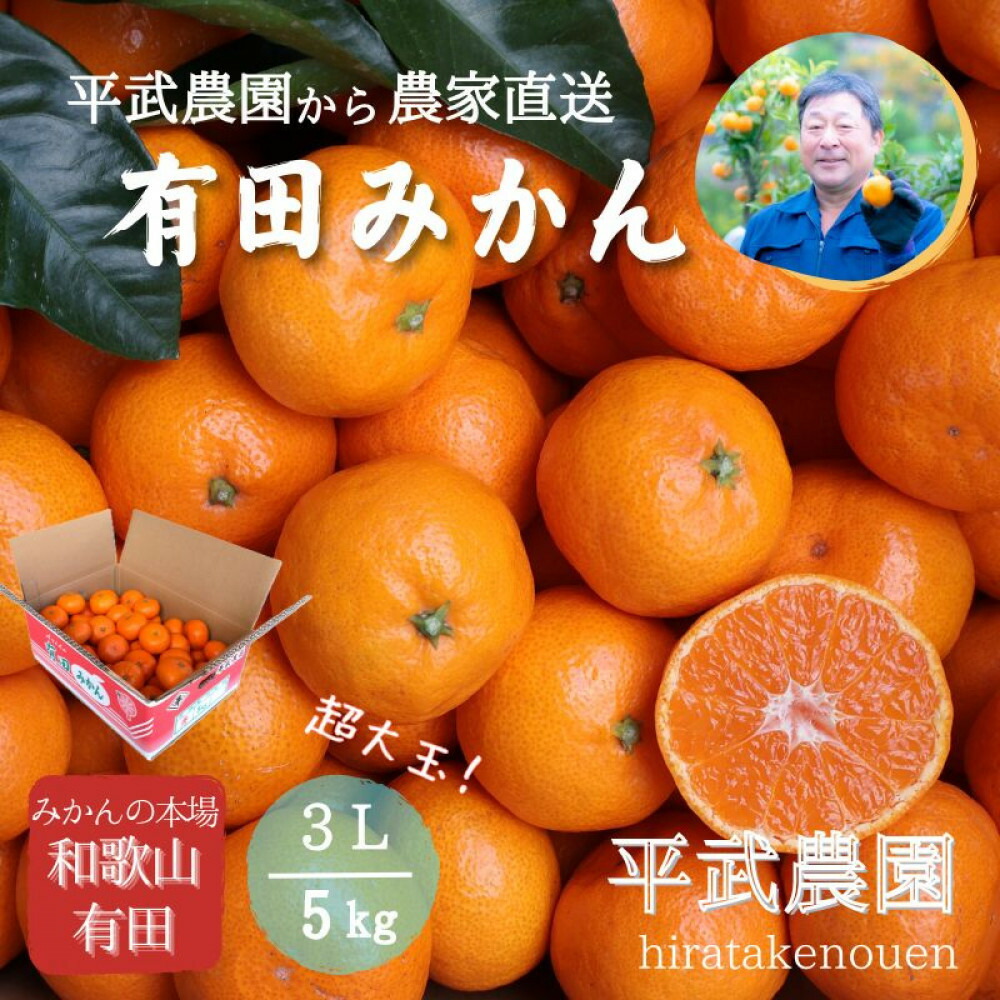 【楽天市場】【ふるさと納税】農家直送！有田みかん（5kg 3Lサイズ（超大玉）秀品）平武農園 ～蛍飛ぶ町から旬の便り～ | フルーツ 果物 くだもの 食品 人気 おすすめ 送料無料：和歌山県有田川町