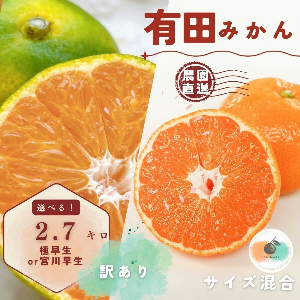 【楽天市場】【ふるさと納税】【選べる種別・容量】【先行予約】有田みかん 極早生 or 宮川早生 2.7kg（箱込み3kg） 訳あり M～2Lサイズ 混合 | 有田みかん 訳あり わけあり ...