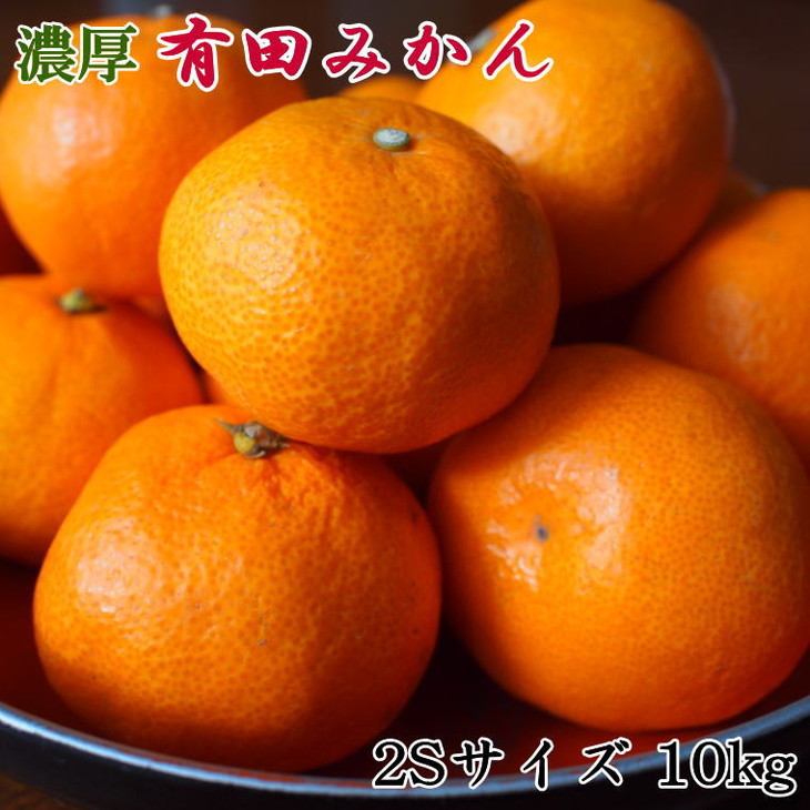 【楽天市場】【ふるさと納税】【先行予約】【産直・秀品】 和歌山 有田みかん 10kg（2Sサイズ）※2025年11月中旬～2026年1月中旬頃に順次発送予定：和歌山県美浜町