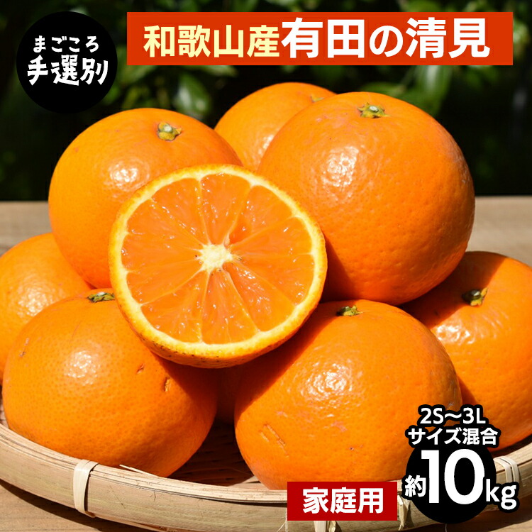 【楽天市場】【ふるさと納税】【まごころ手選別】和歌山産 有田の清見 約10kg(2S～3Lサイズ混合)【家庭用】 ※2026年3月上旬～4月下旬頃に順次発送予定：和歌山県美浜町